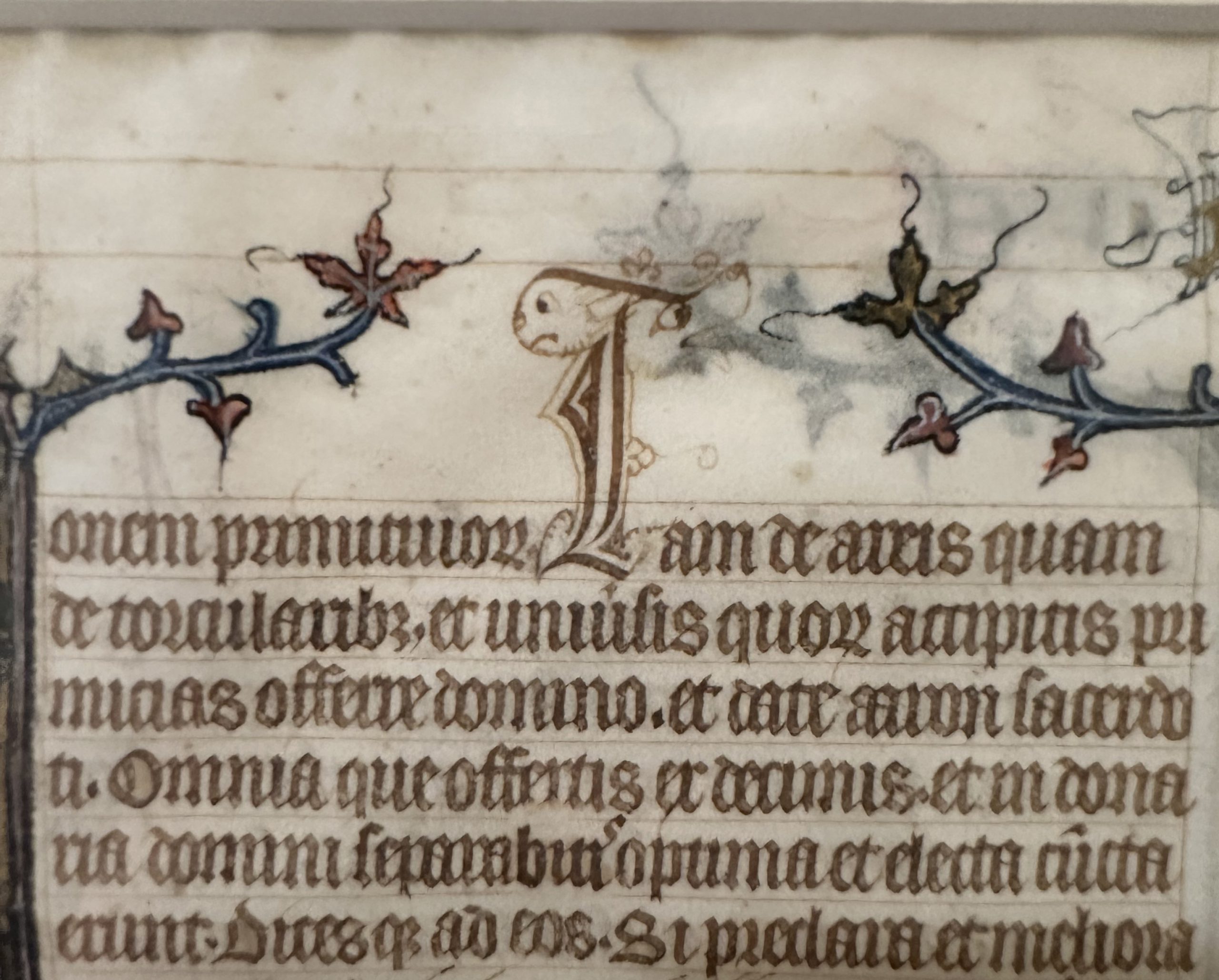 A Latin Vulgate Leaf of the Book of Numbers