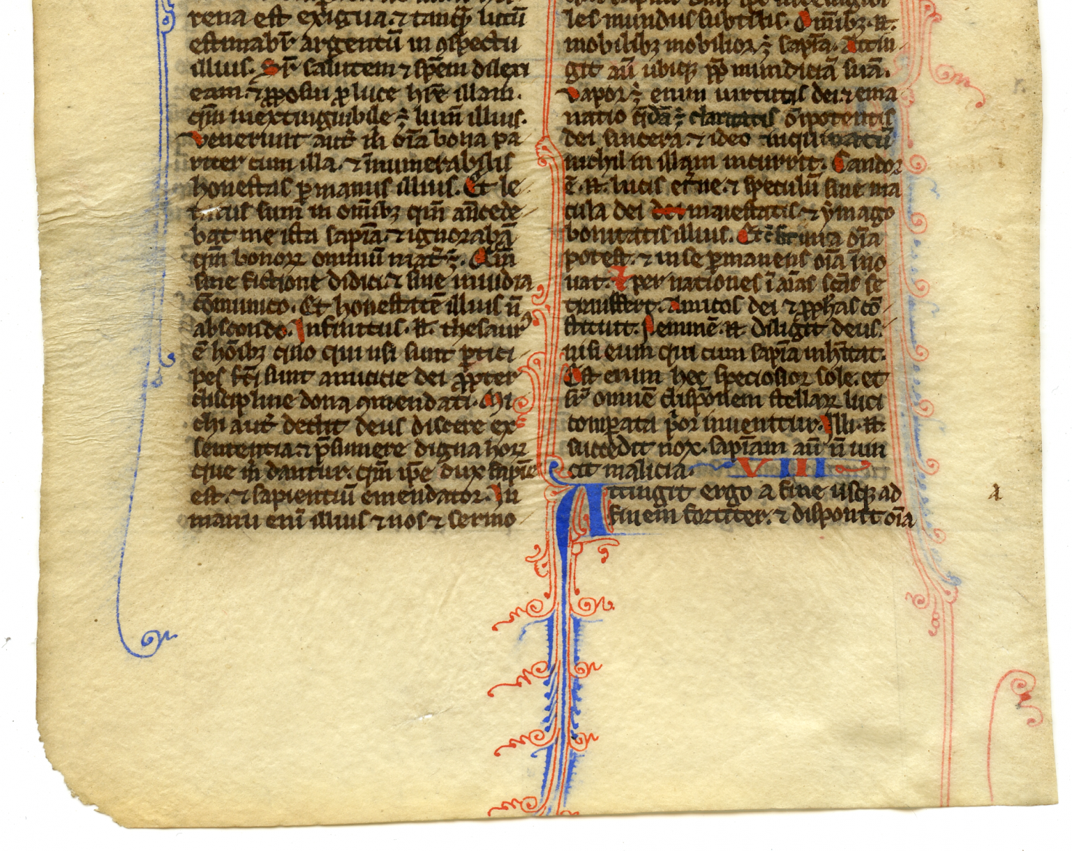 Watermarks & the History of Paper