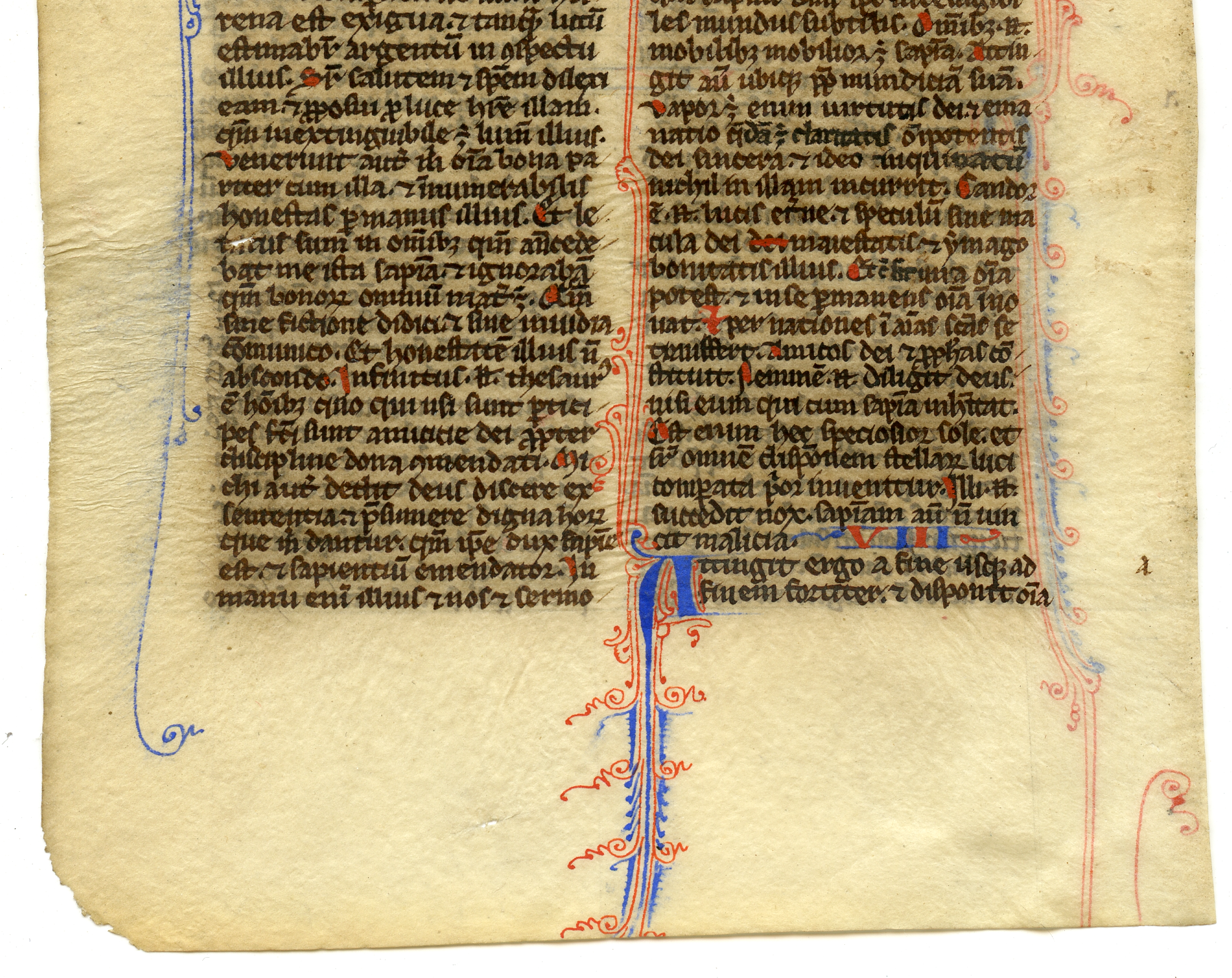 Watermarks & the History of Paper